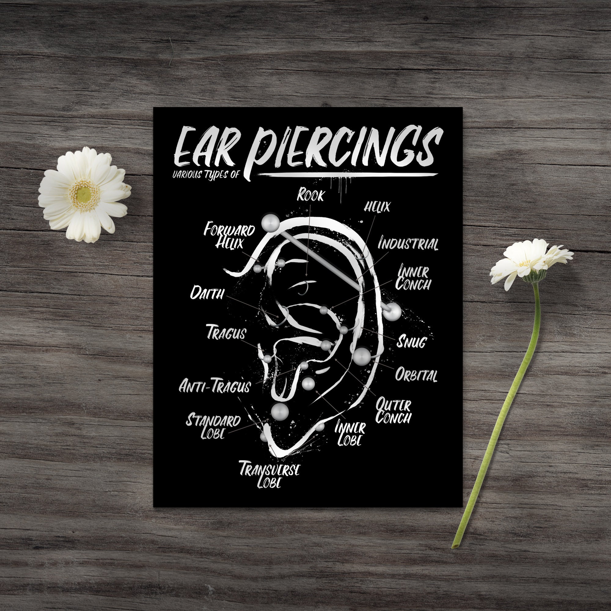 Ear Piercing Chart Infographic Print Wall Art Black and White Ink ...