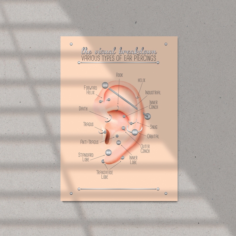 Ear Piercing Chart High Quality Art Print, the Original Professional Ear Piercing Infographic ...