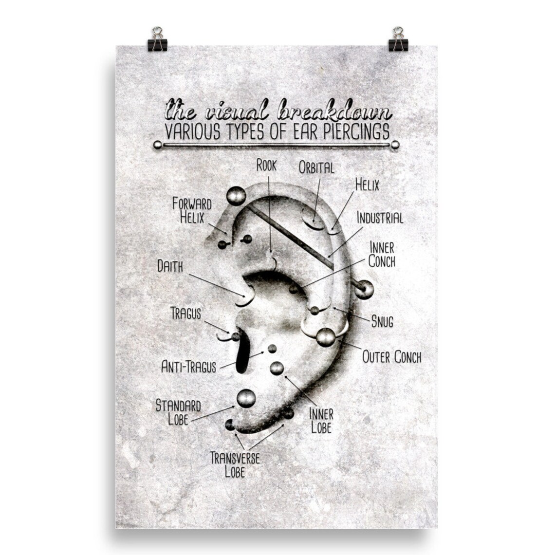 Ear Piercing Chart Infographic Print Wall Art Updated Grunge Grey ...