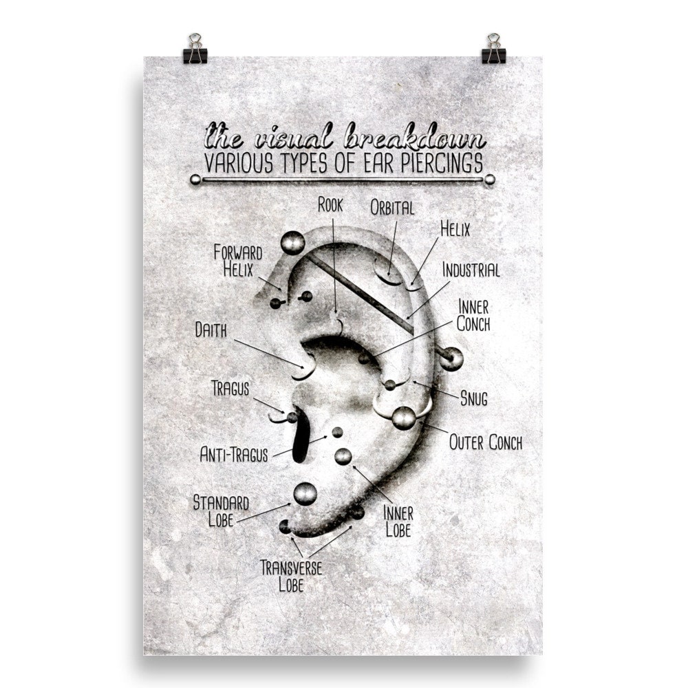Ear Piercing Chart Infographic Print Wall Art Updated Grunge Grey ...