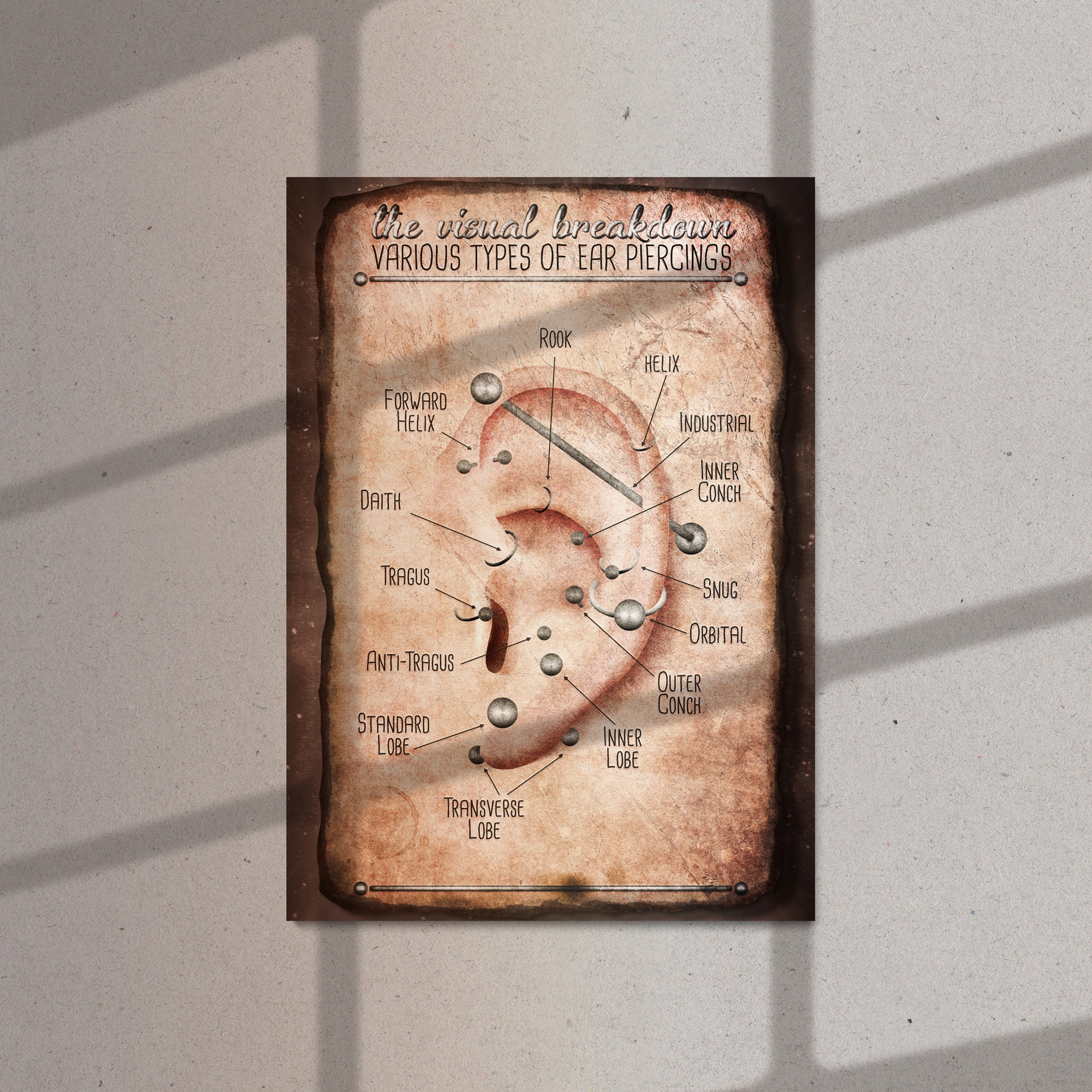 Antique Ear Piercing Chart Wall Art With Various Locations of Ear ...