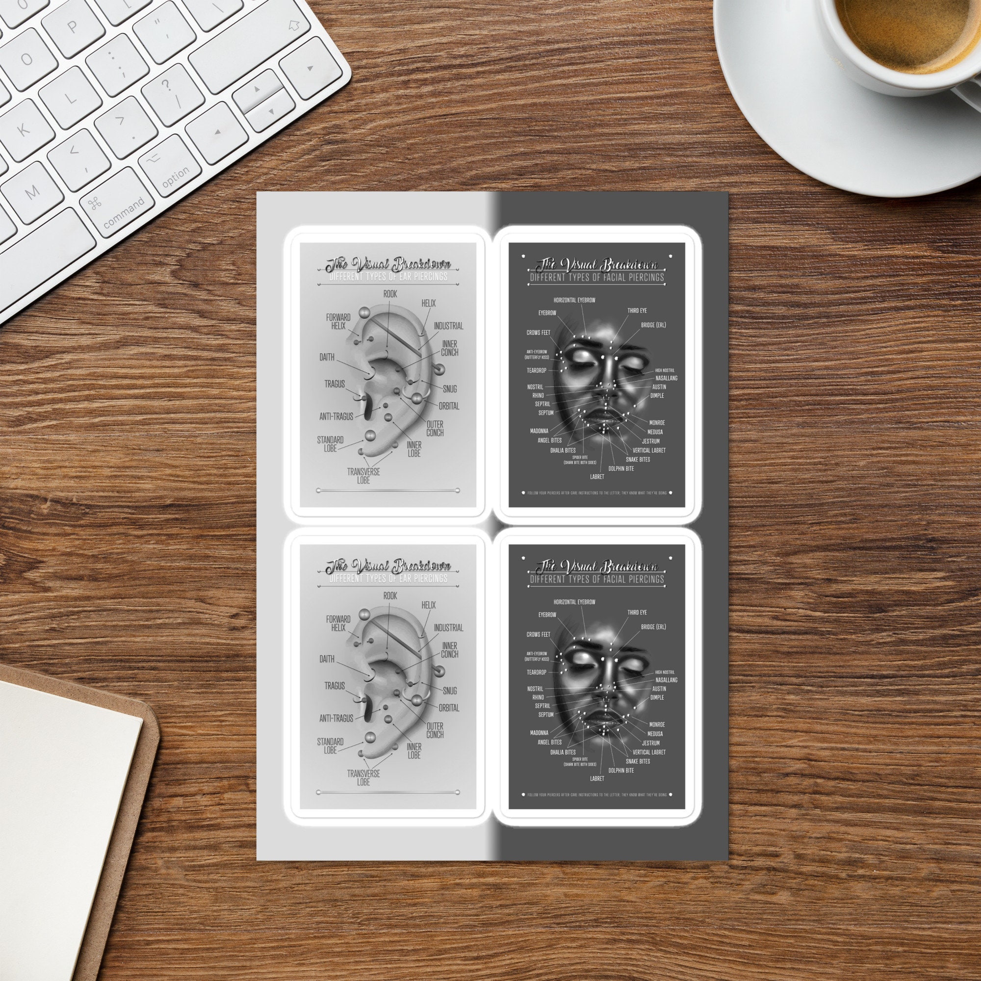 Ear Piercing Chart and Facial Piercing Chart Sticker Sheet - Etsy