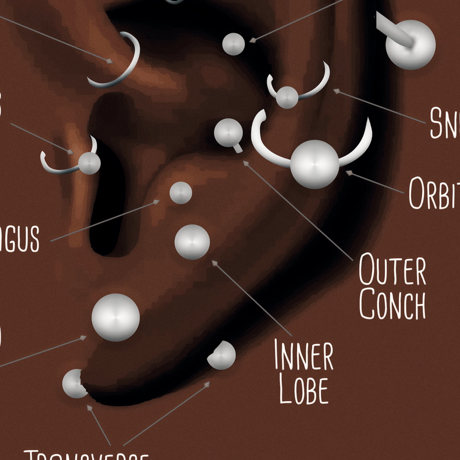 Ear Piercing Chart, Dark Skin, Poster - Etsy