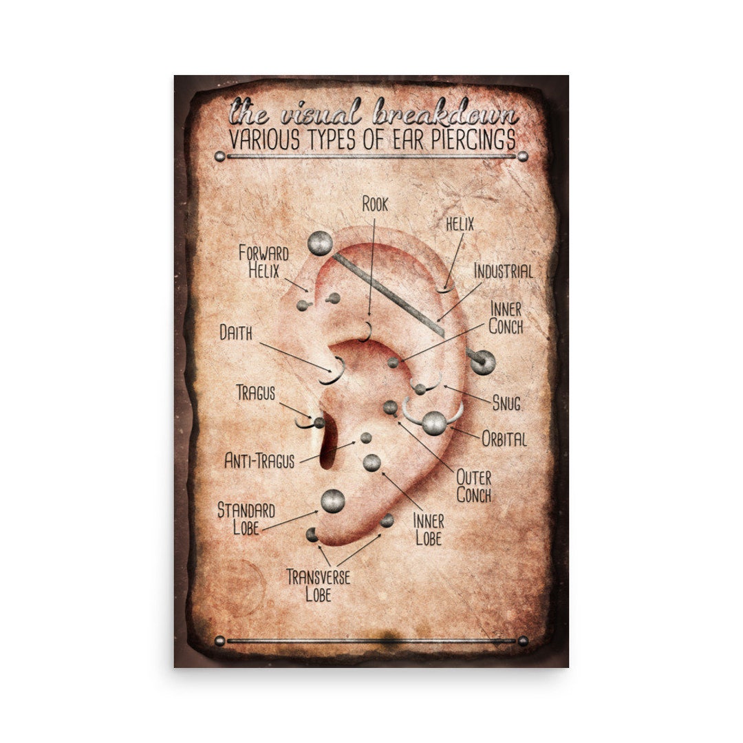Antique Ear Piercing Chart Wall Art With Various Locations of Ear ...