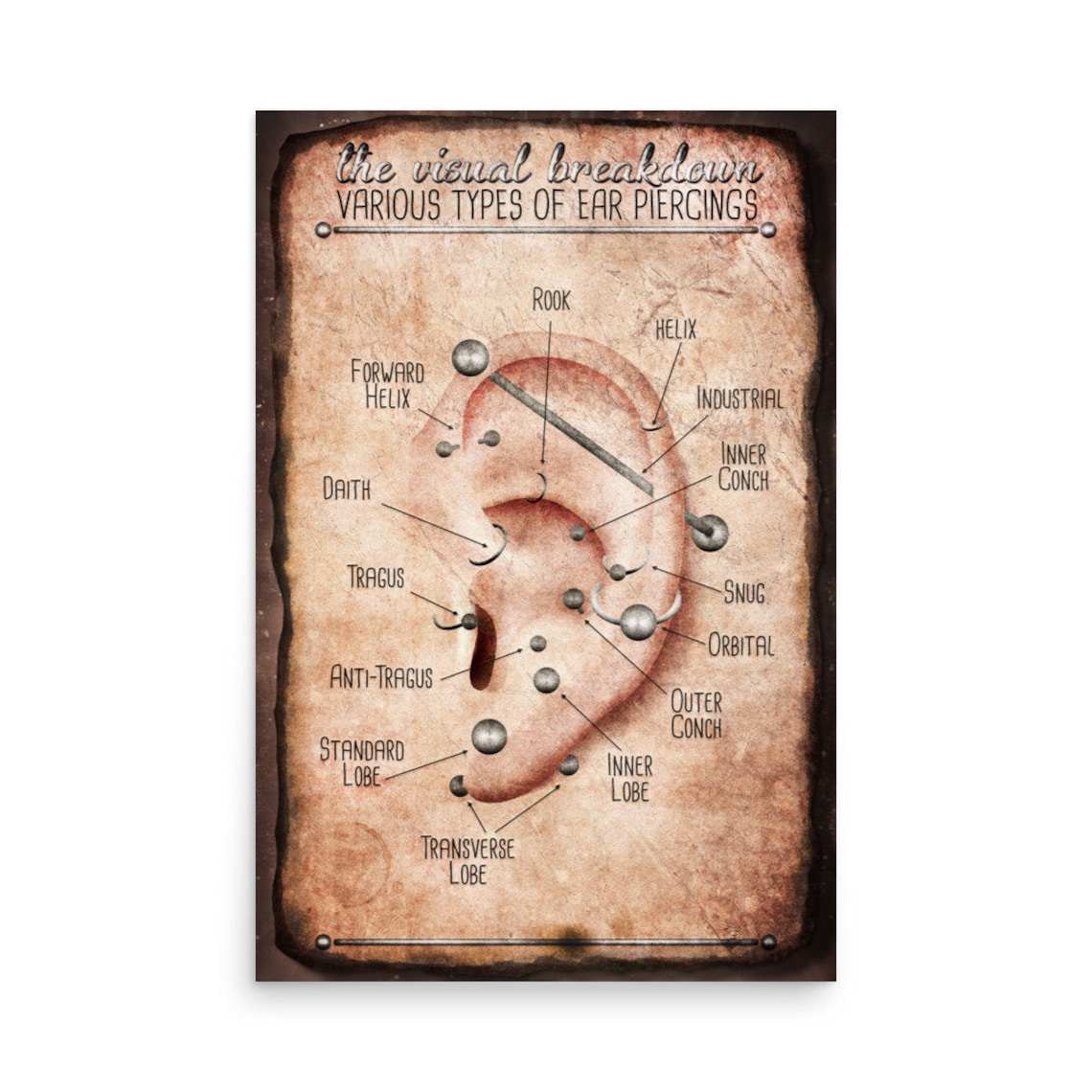 Antique Ear Piercing Chart Wall Art With Various Locations of Ear ...