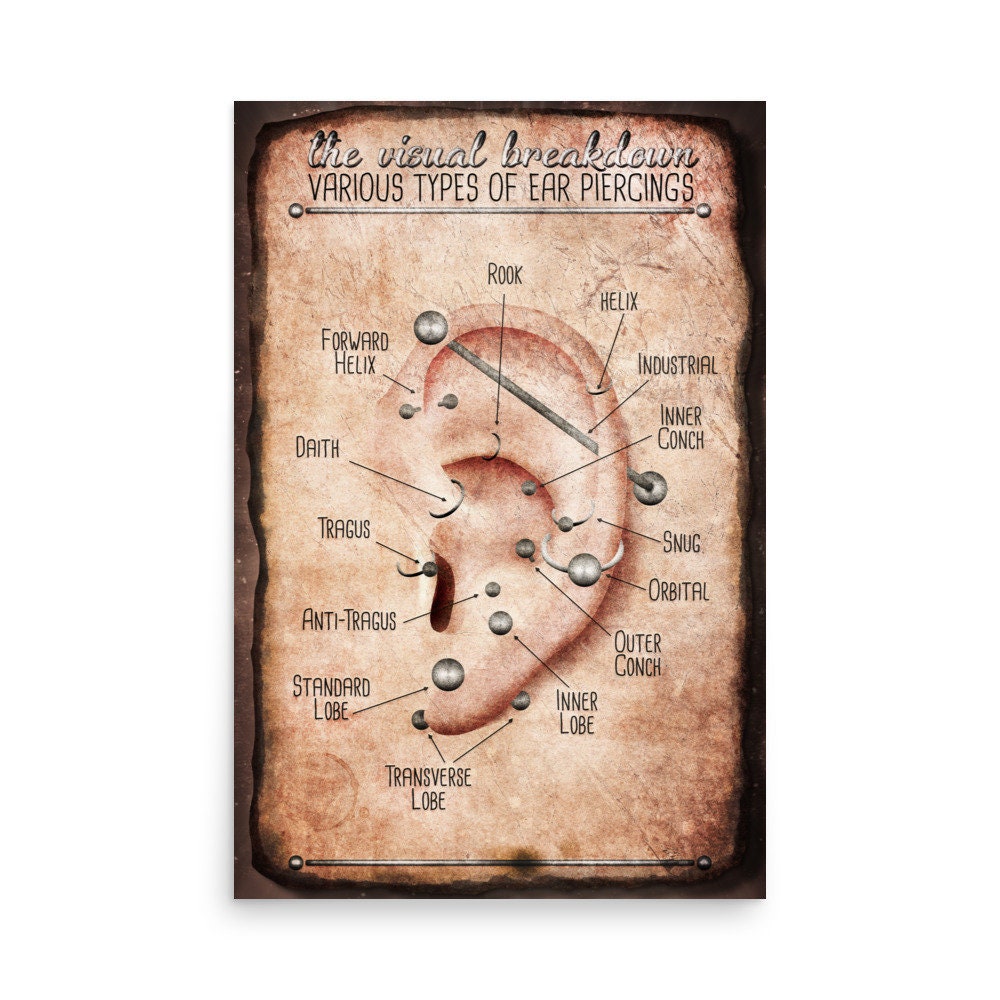 Antique Ear Piercing Chart Wall Art With Various Locations of Ear ...