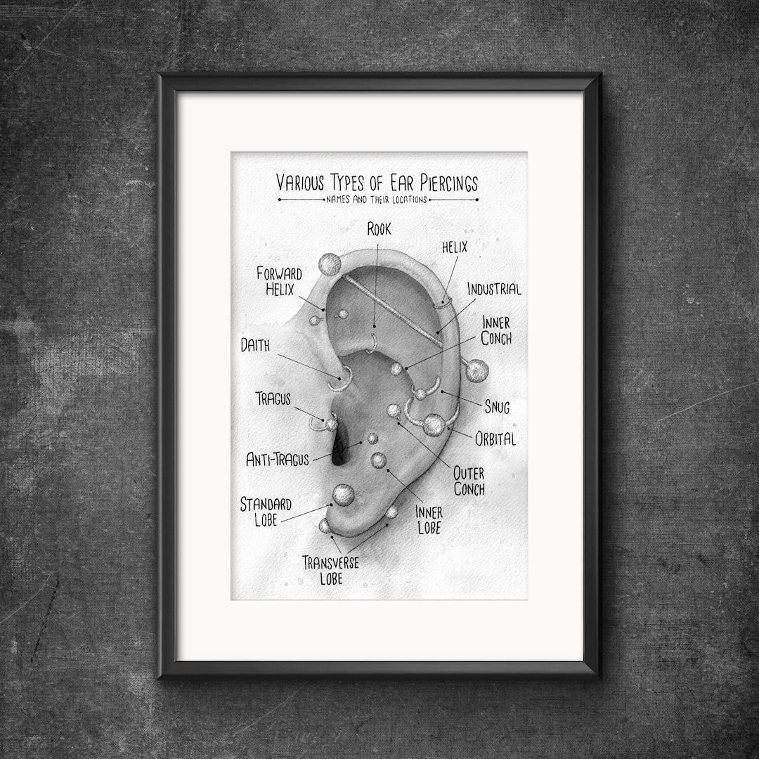 Watercolor Ear Piercing Chart Poster Black and Gray Art Various Ear ...