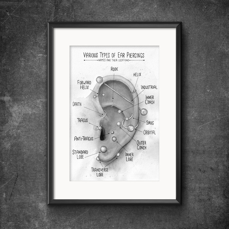 Ear Piercings Chart - Etsy