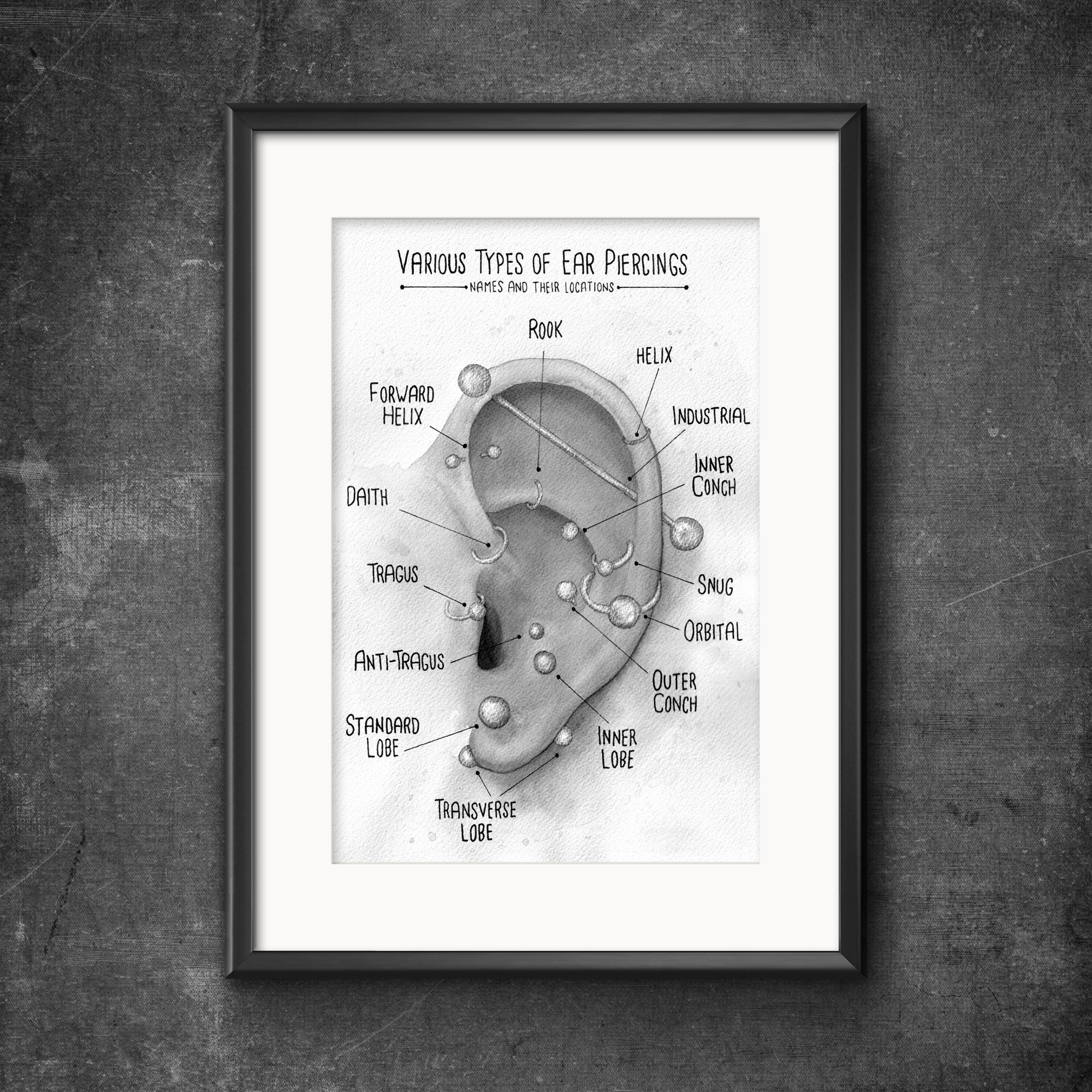 Watercolor Ear Piercing Chart Poster Black and Gray Art Various Ear ...