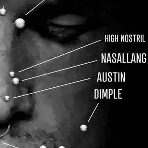 Facial Piercings Infographic Chart Poster Various Types of Face ...