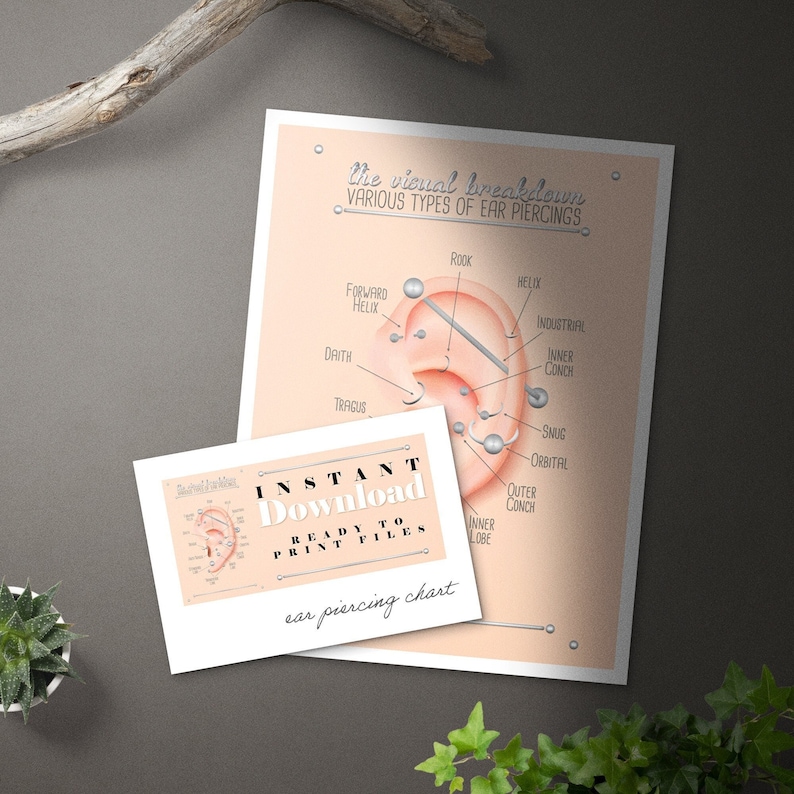 Ear Piercing Chart High Quality Art Print, the Original Professional ...
