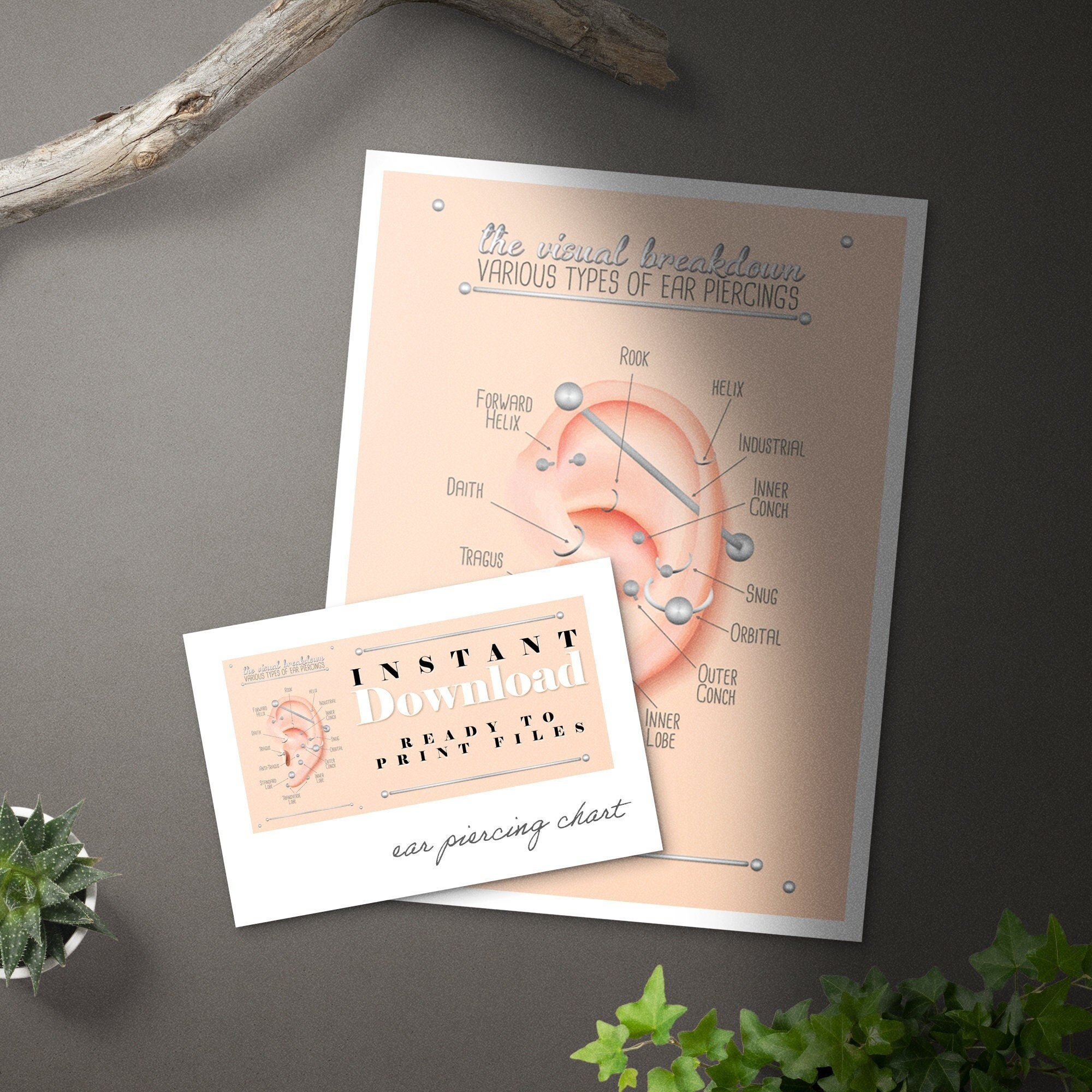 Ear Piercing Chart High Quality Art Print, the Original Professional ...