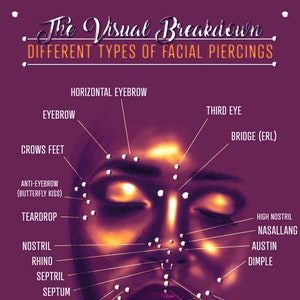 Face Piercing Chart Poster Facial Piercing Infographic Print Wall Art ...