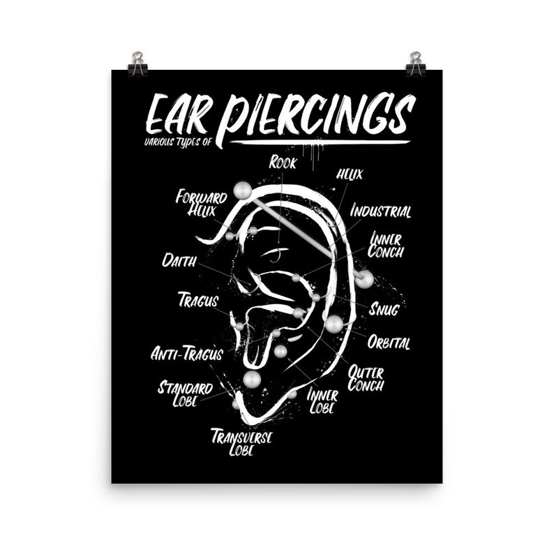 Ear Piercing Chart Infographic Print Wall Art Black and White Ink ...
