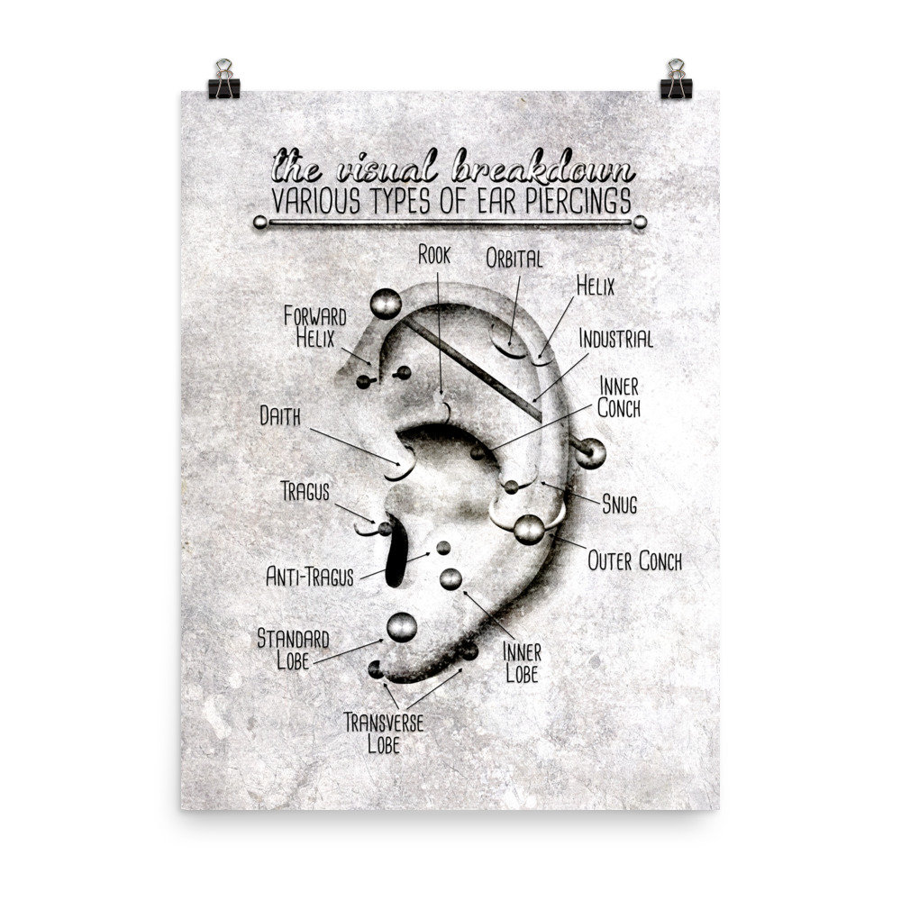 Ear Piercing Chart Infographic Print Wall Art Updated Grunge Grey ...