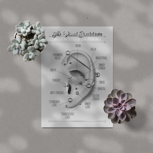 Ear Piercing Chart Infographic Print Wall Art Black and Grey (matching ...