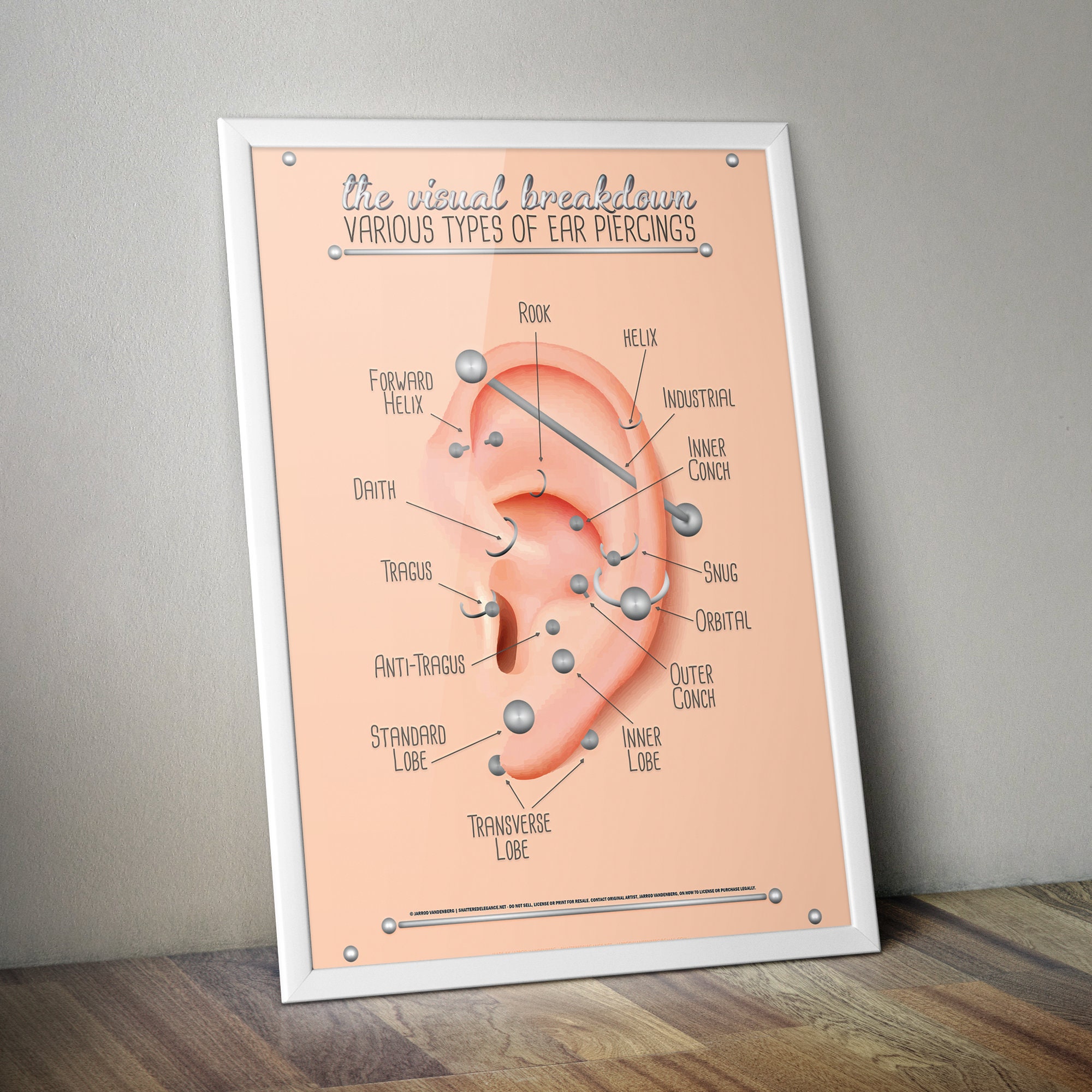 Ear Piercing Chart High Quality Art Print, the Original Professional ...