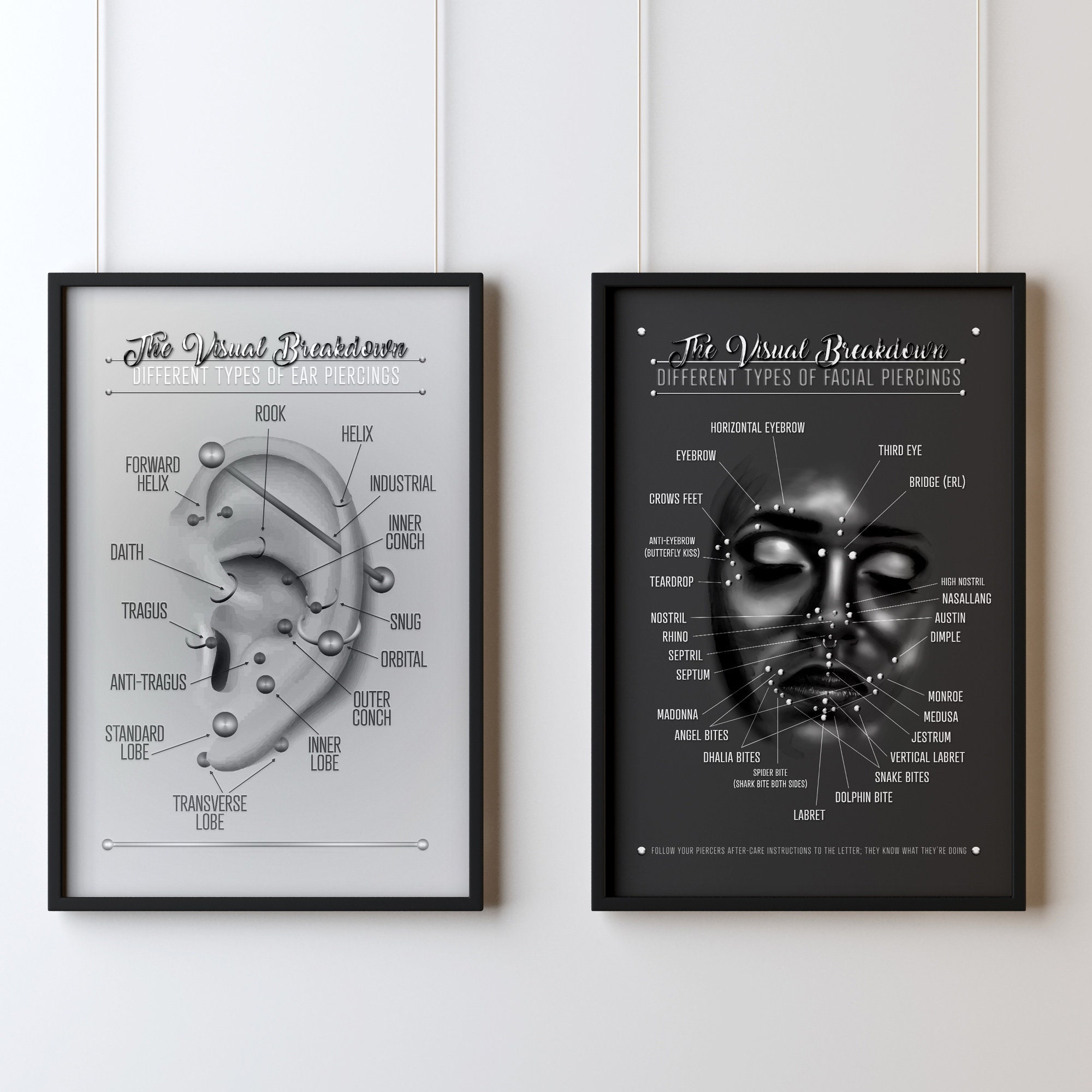 Facial Piercing Chart Infographic Art Gift Black and Grey (matching for ...