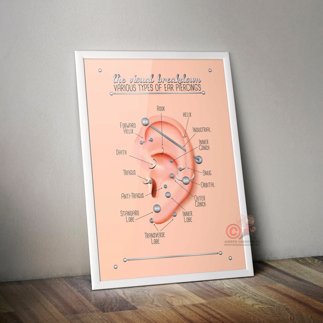 Ear Piercing Chart Print Showing Various Locations of Piercings Print Perfect for Professional ...