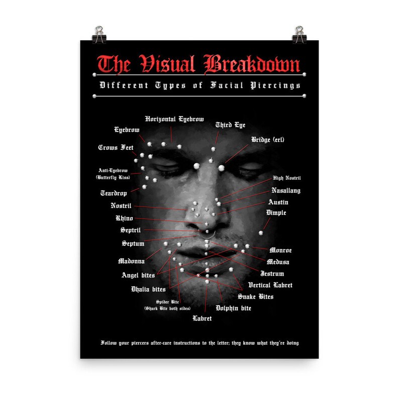 Face Piercings Chart Poster Infographic Gothic Various Types of Face ...