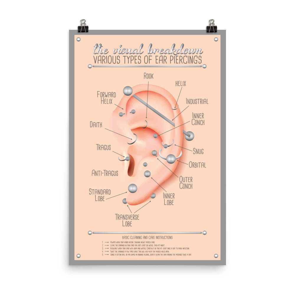 Ear Piercing Infographic Chart Poster - Etsy