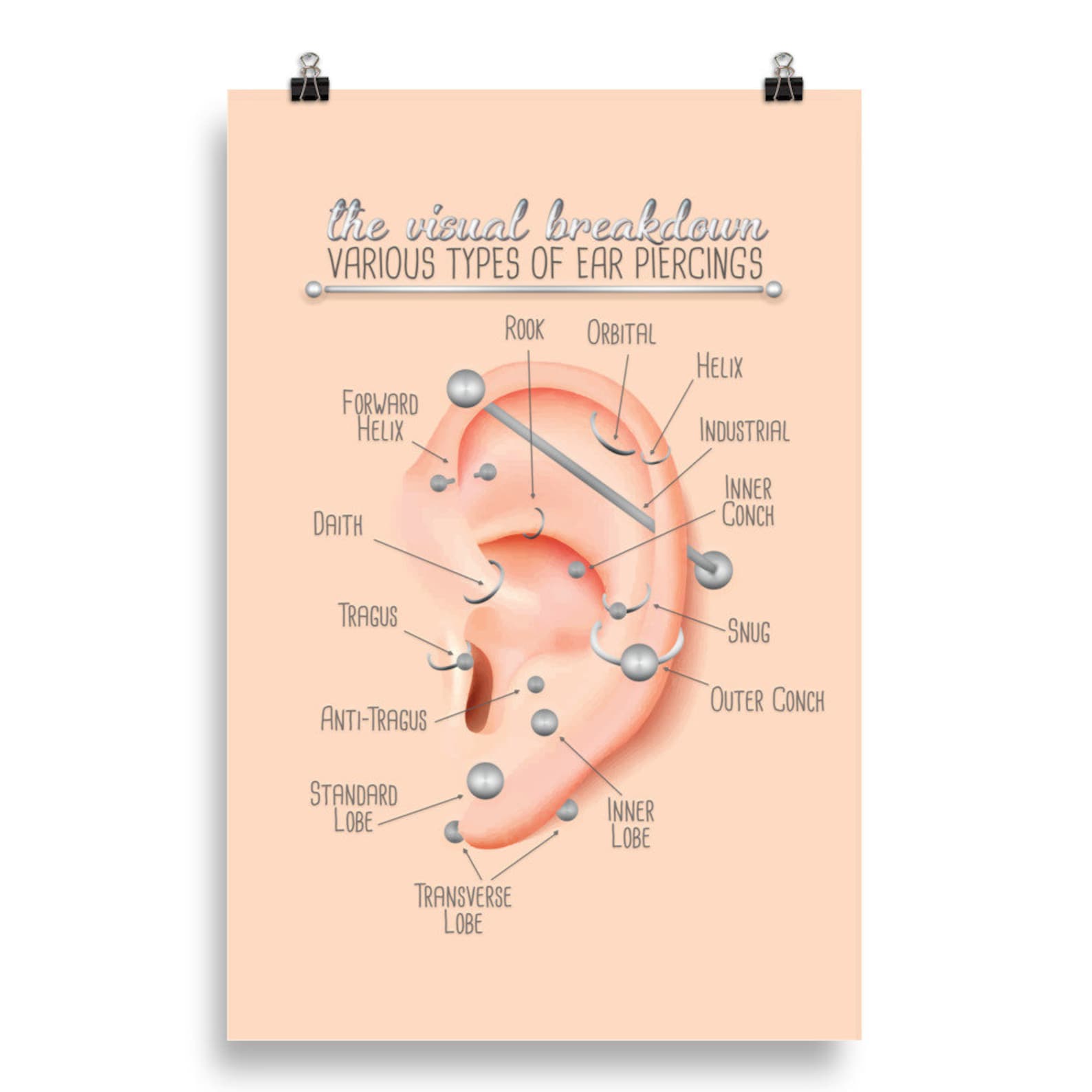 Ear Piercing Chart Infographic Print Wall Art Updated Version Poster ...