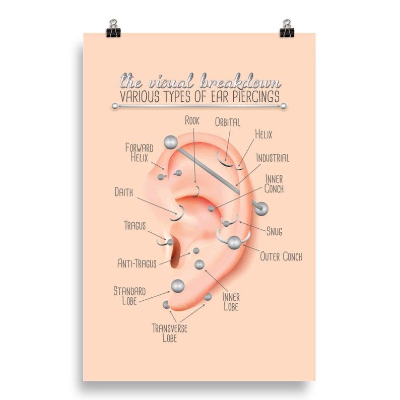 Ear Piercing Chart Infographic Print Wall Art Updated Version Poster - Etsy