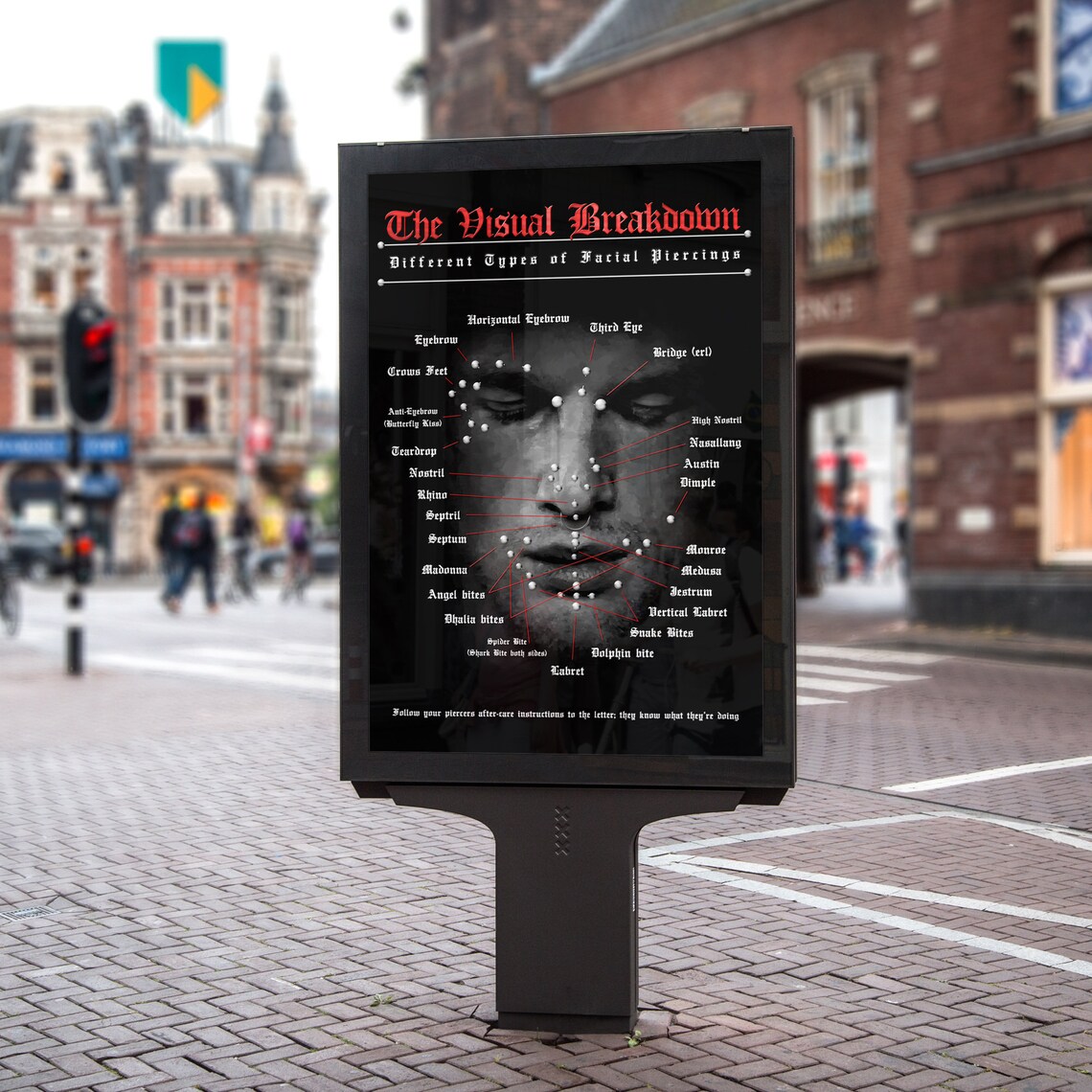 Face Piercings Chart Poster Infographic Gothic Various Types of Face ...