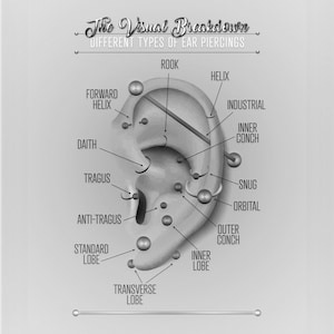 Ear Piercing Chart Infographic Print Wall Art Black and Grey (matching ...