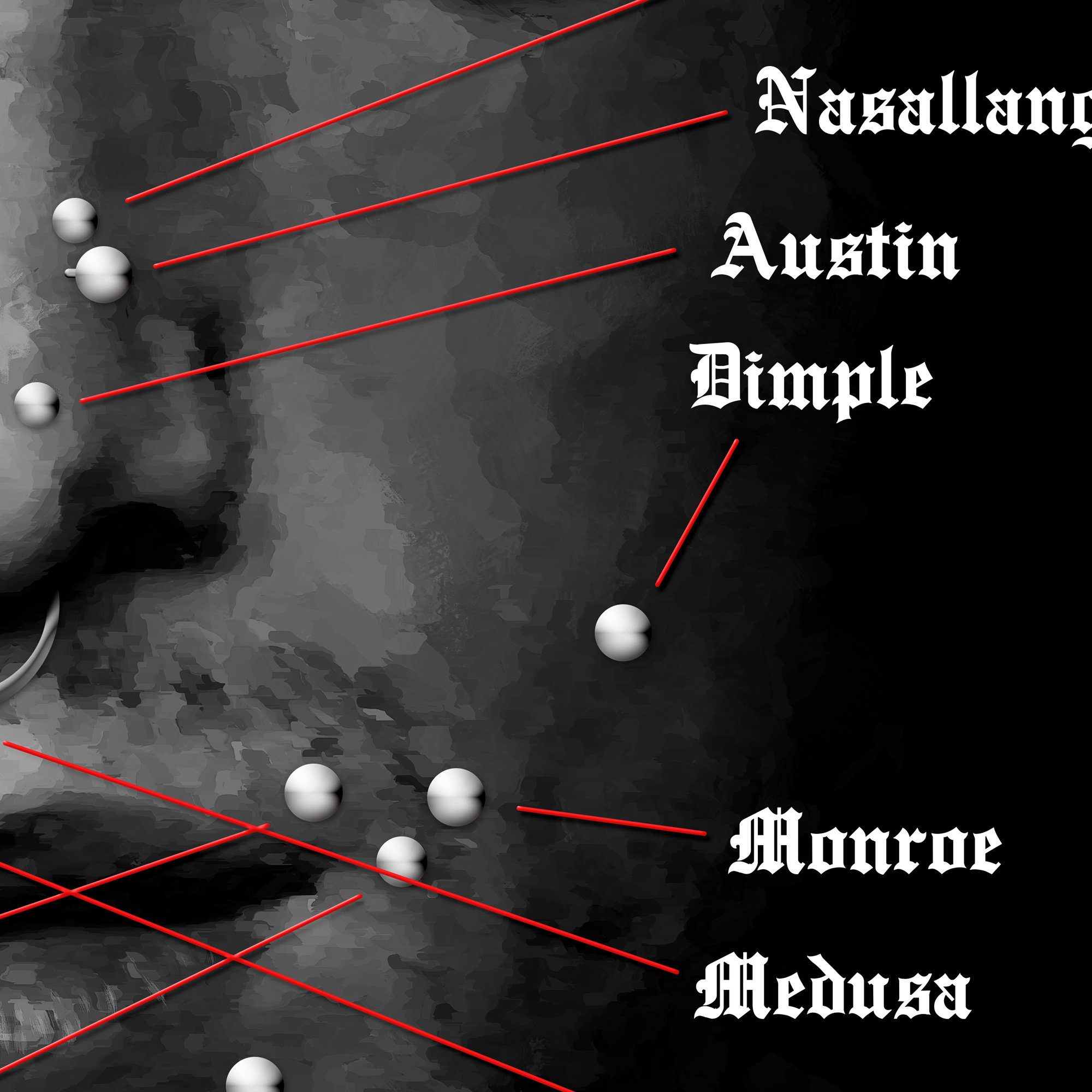 Face Piercings Chart Poster Infographic Gothic Various Types of Face ...