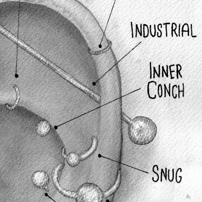Watercolor Ear Piercing Chart Poster Black and Gray Art Various Ear ...