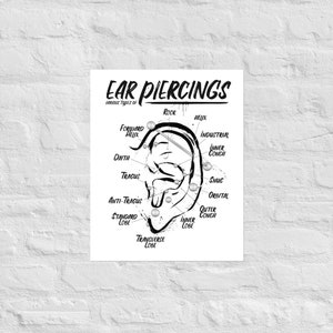 Ink Ear Piercing Chart Print Various Types of Ear Piercings Poster Ear ...