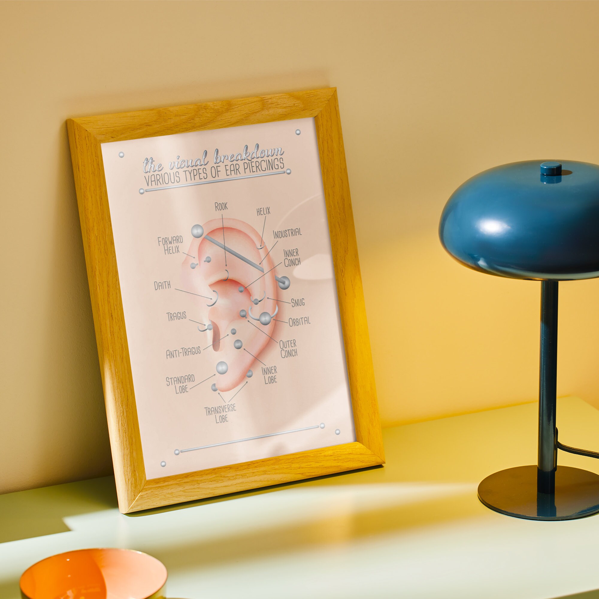 Ear Piercing Chart High Quality Art Print, the Original Professional ...