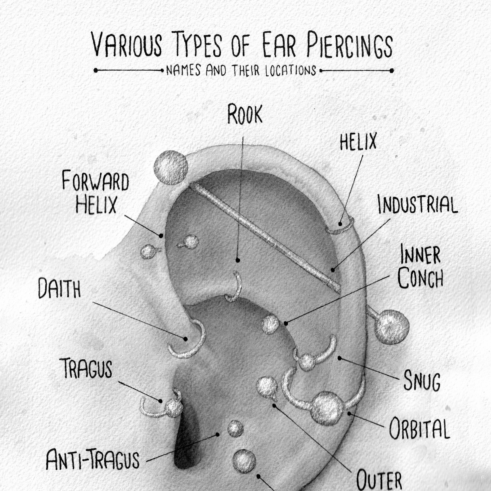 Watercolor Ear Piercing Chart Poster Black and Gray Art Various Ear ...