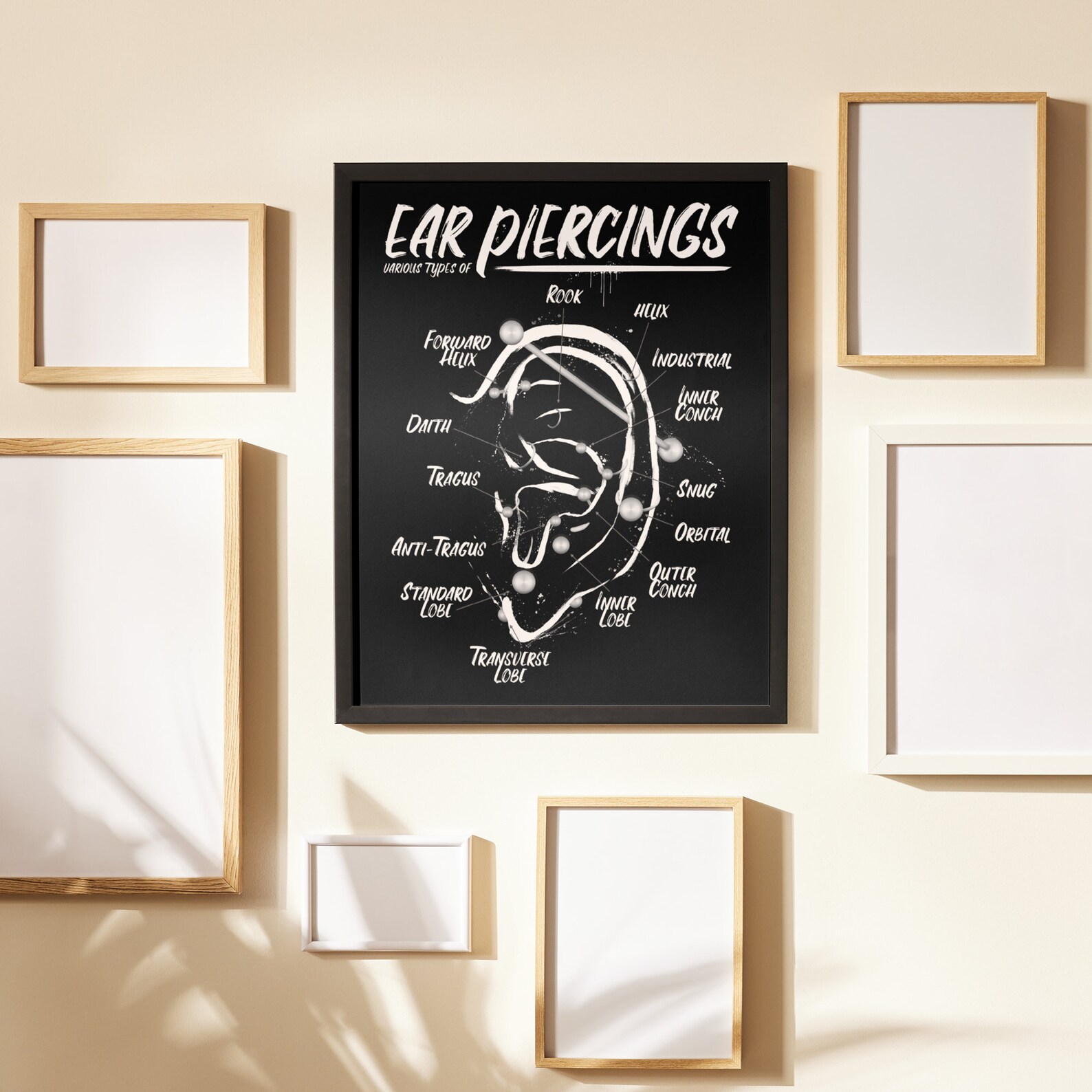 Ear Piercing Chart Infographic Print Wall Art Black and White Ink ...