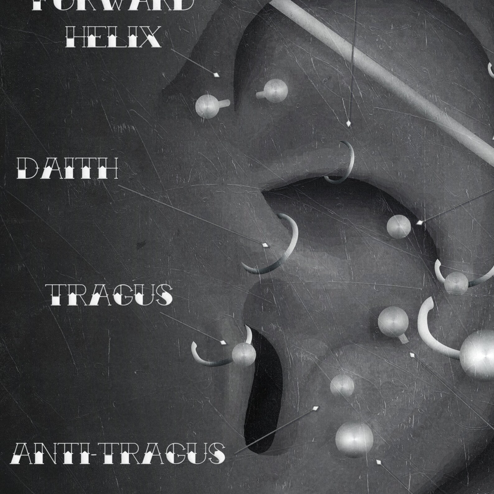 Vintage Style Ear Piercing Chart Print Ear Piercing Art Professional ...