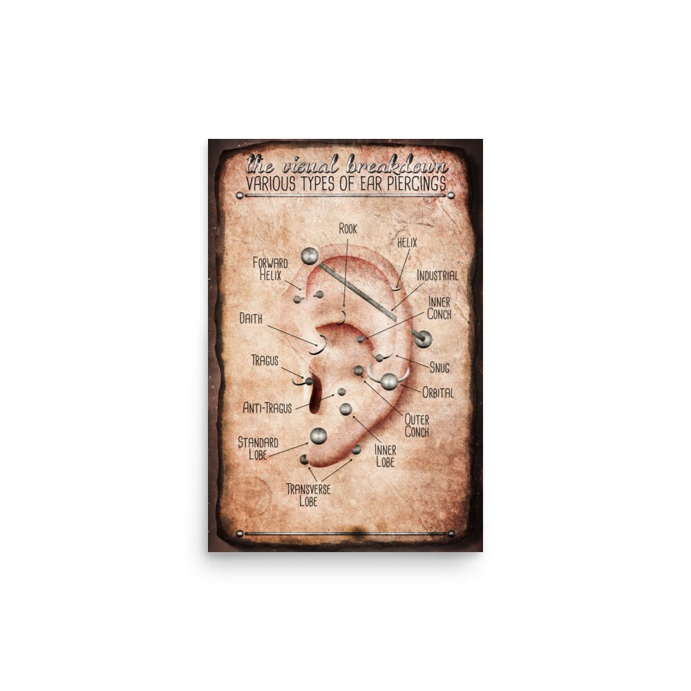 Antique Ear Piercing Chart Wall Art With Various Locations of Ear ...