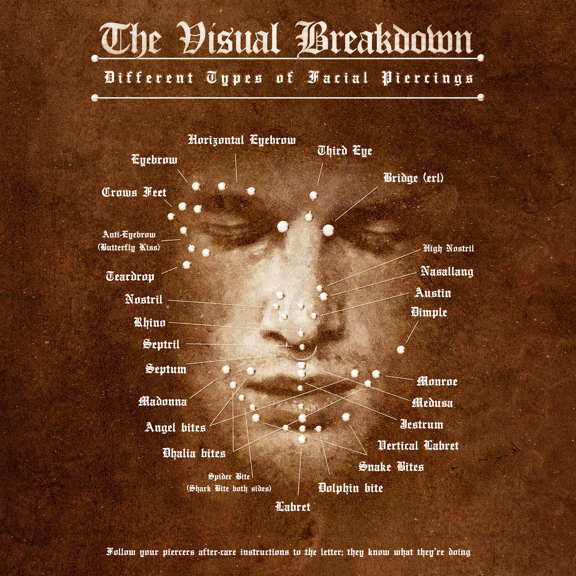 Face Piercing Chart, Vintage Grunge, No Care Instructions, Poster ...