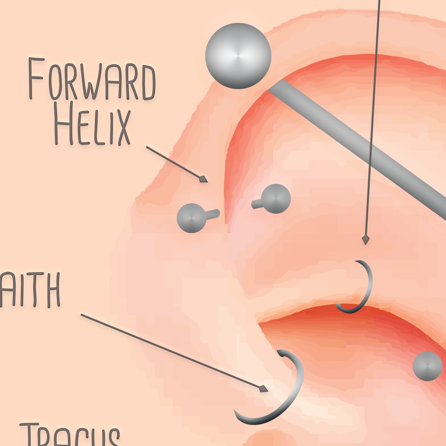 Ear Piercing Chart Print Showing Various Locations of Piercings Print ...