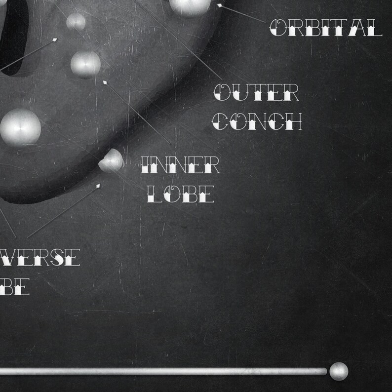 Vintage Style Ear Piercing Chart Print Ear Piercing Art Professional ...