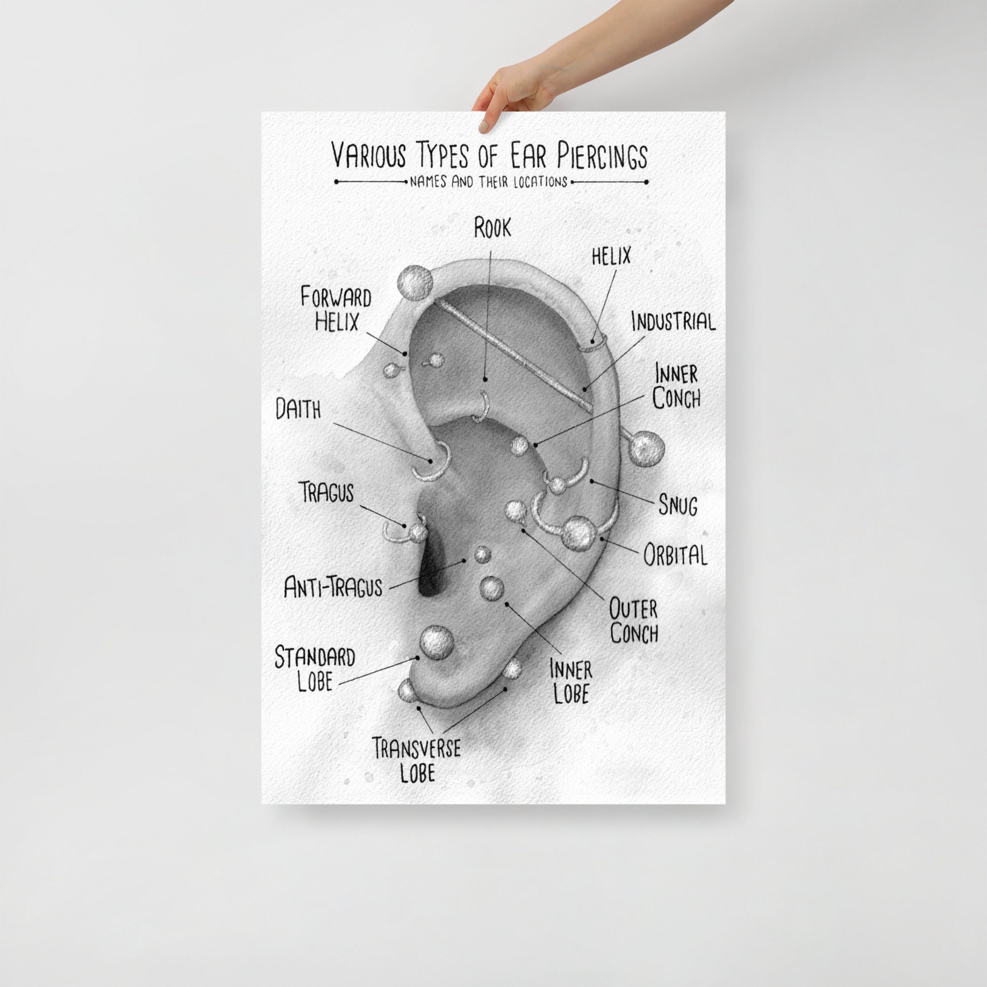 Watercolor Ear Piercing Chart Poster Black and Gray Art Various Ear ...