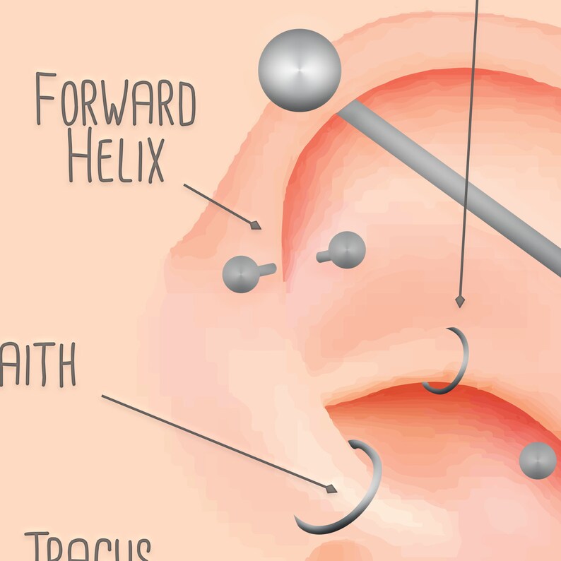 Ear Piercing Infographic Chart Poster - Etsy