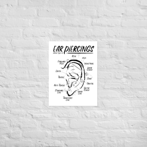 Ink Ear Piercing Chart Print Various Types of Ear Piercings Poster Ear ...