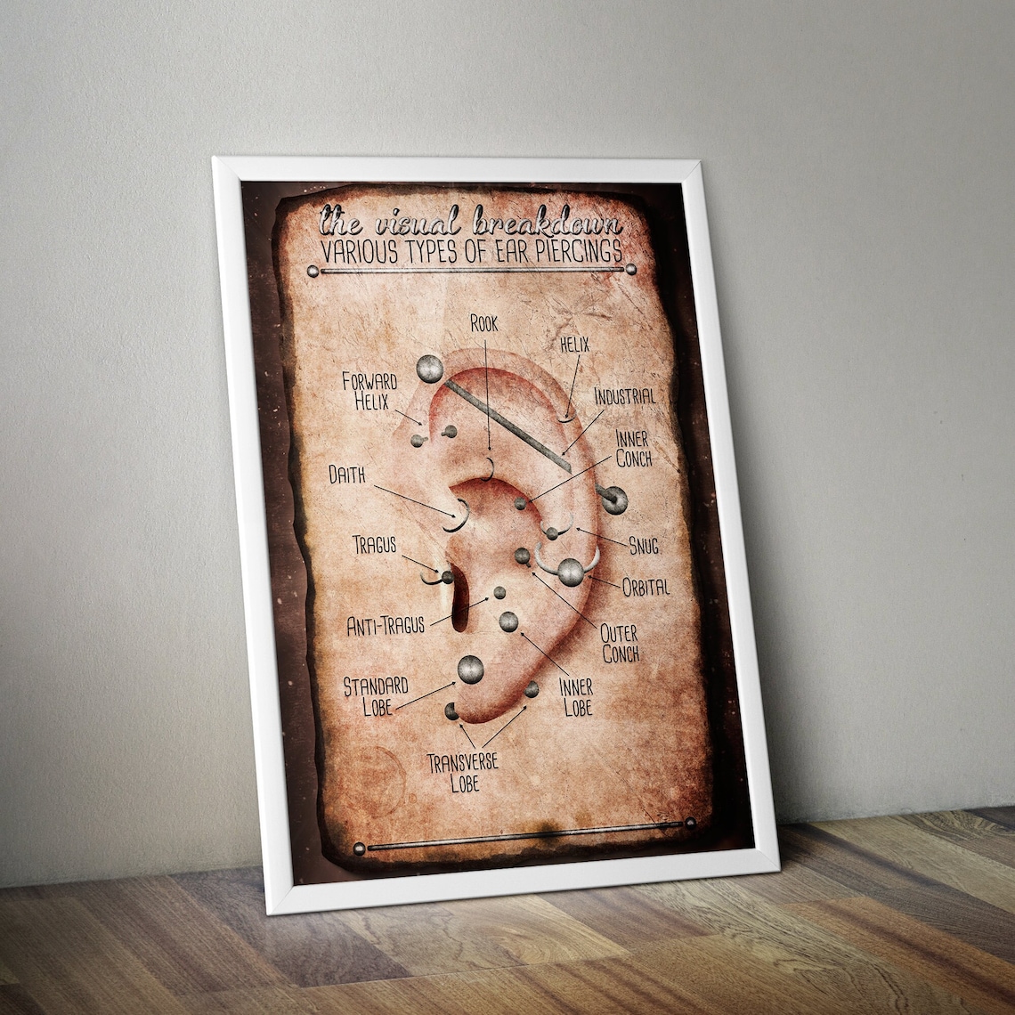 Antique Ear Piercing Chart Wall Art With Various Locations of Ear ...