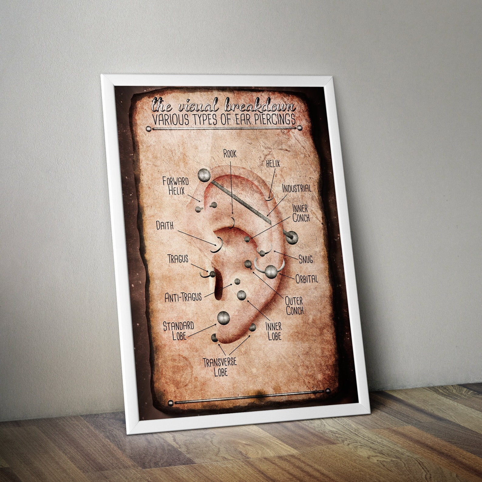 Antique Ear Piercing Chart Wall Art With Various Locations of Ear ...