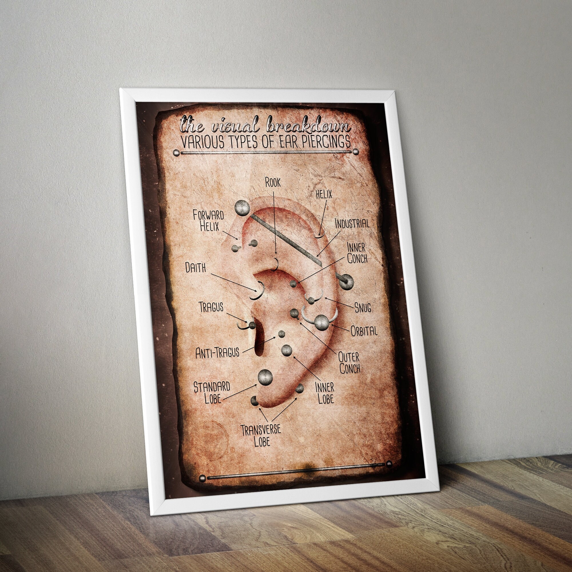 Antique Ear Piercing Chart Wall Art With Various Locations of Ear ...