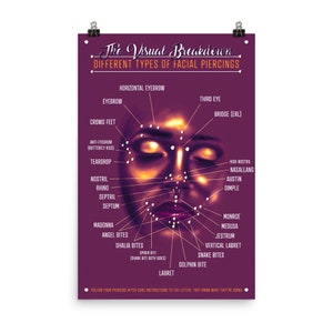 Face Piercing Chart Poster Facial Piercing Infographic Print Wall Art ...