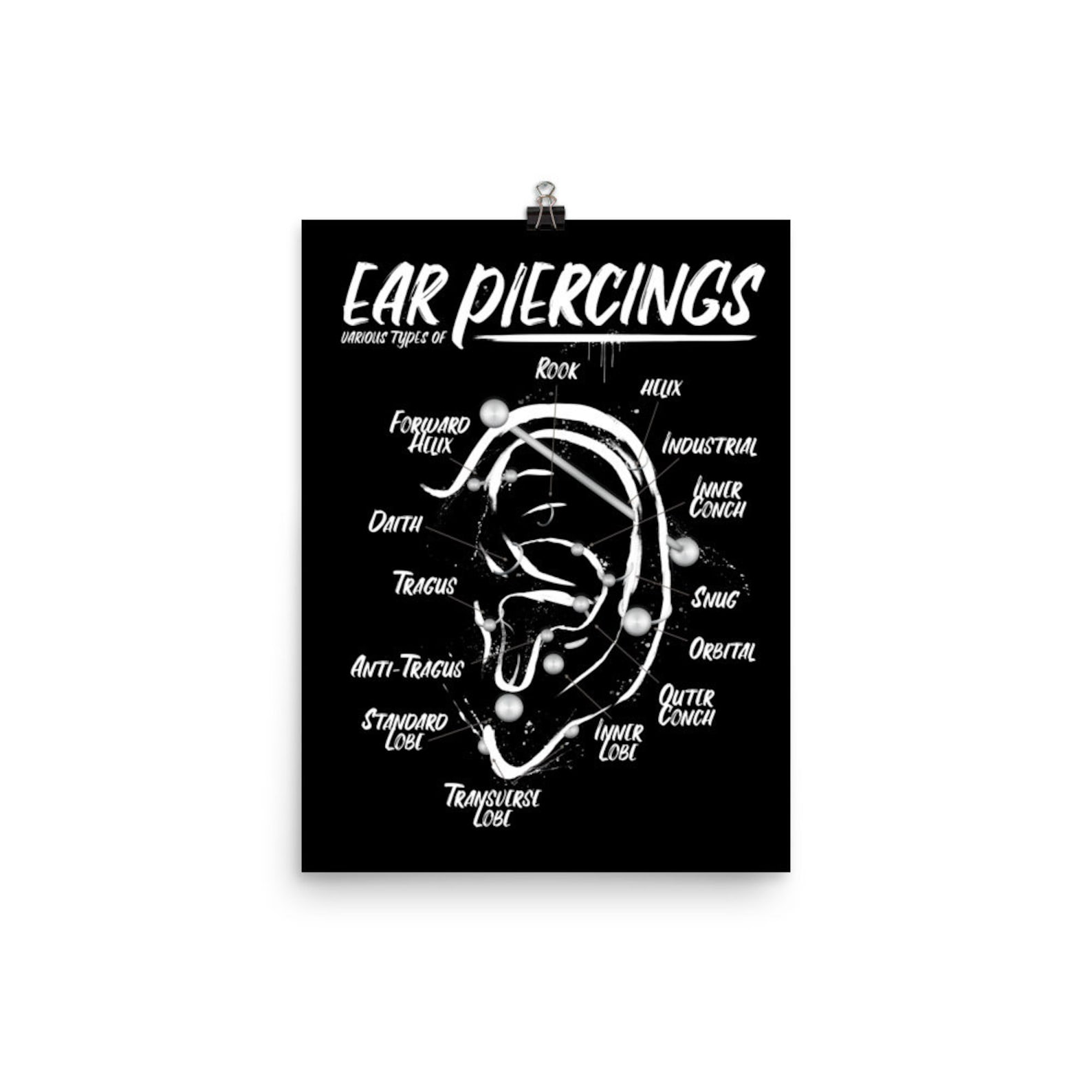 Ear Piercing Chart Infographic Print Wall Art Black and White Ink ...