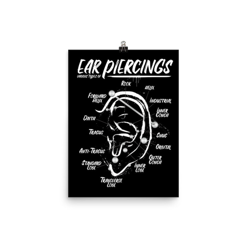 Ear Piercing Chart Infographic Print Wall Art Black and White Ink ...