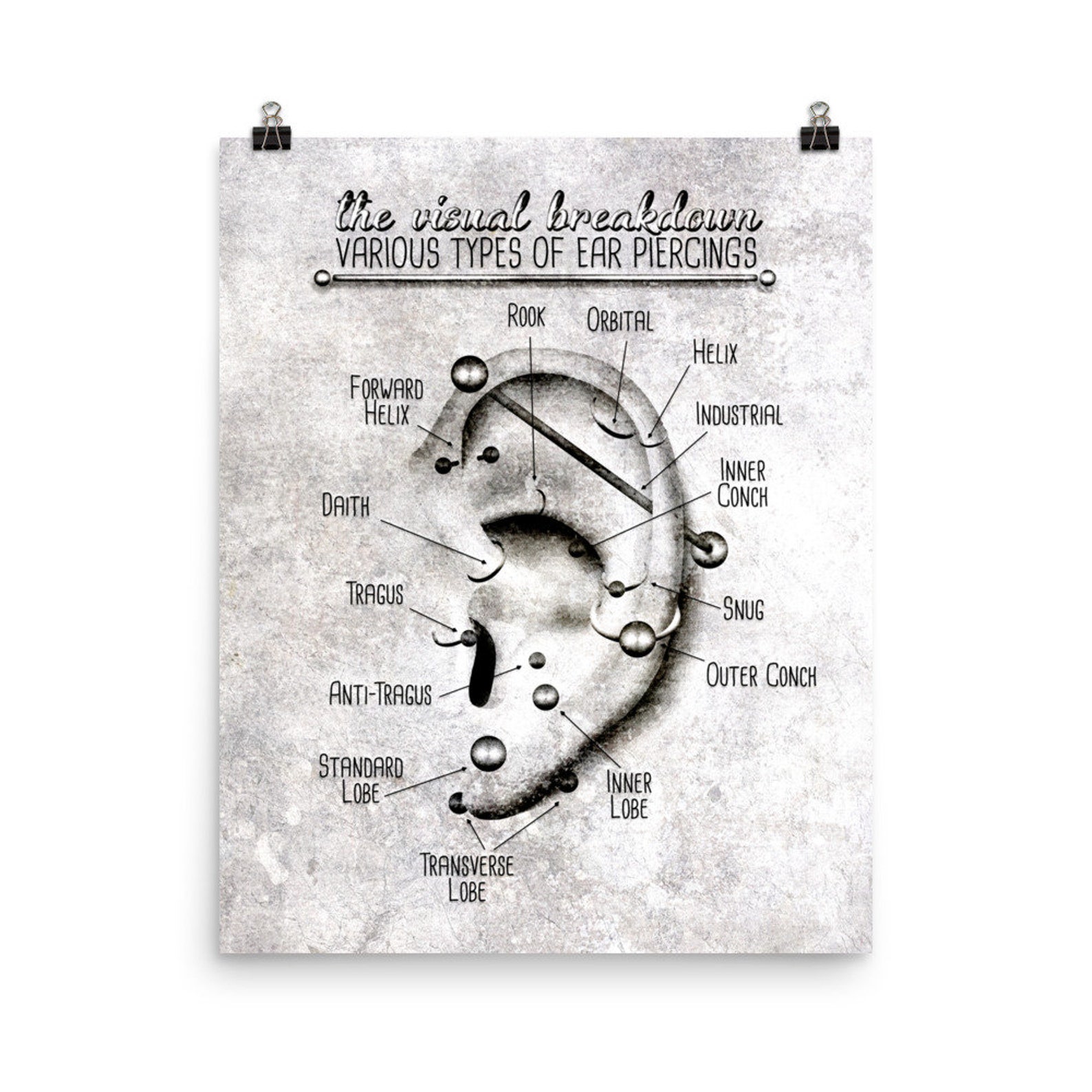 Ear Piercing Chart Infographic Print Wall Art Updated Grunge Grey ...